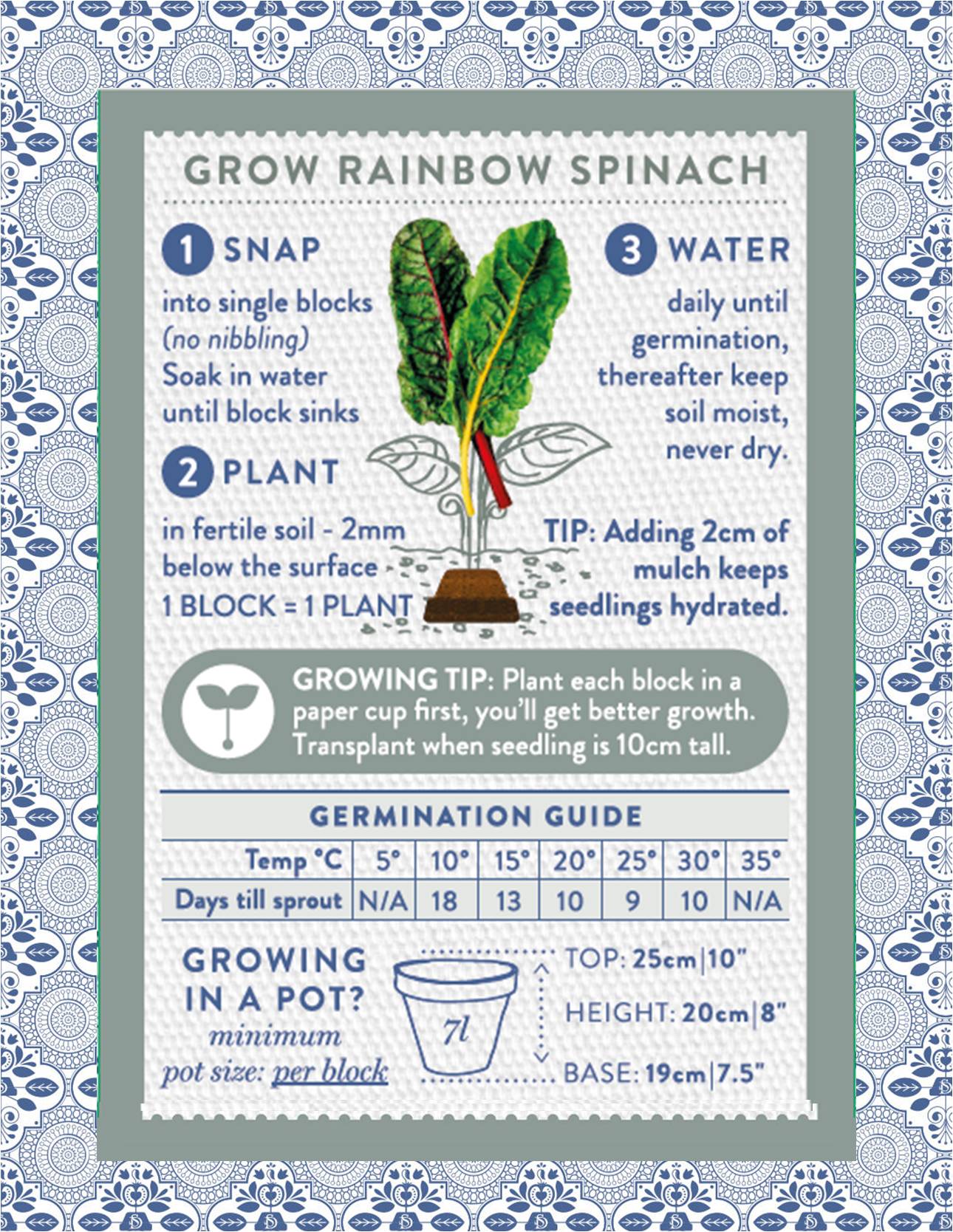 Rainbow Spinach – Sow Delicious